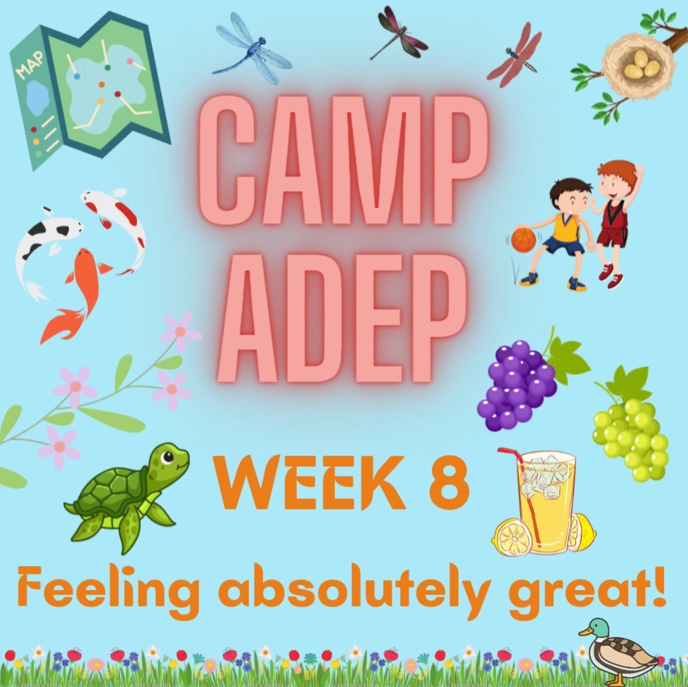 Camp ADEP Photo Gallery - ADEP Coaching : ADEP Coaching
